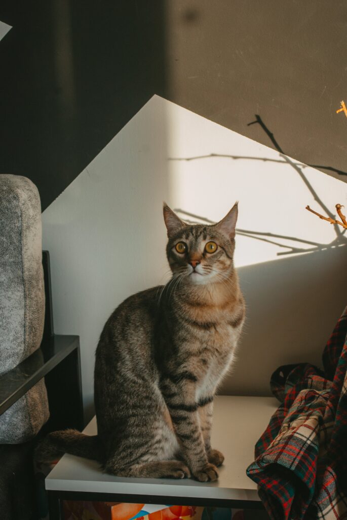 Hva Koster Det å Leve I Norge?